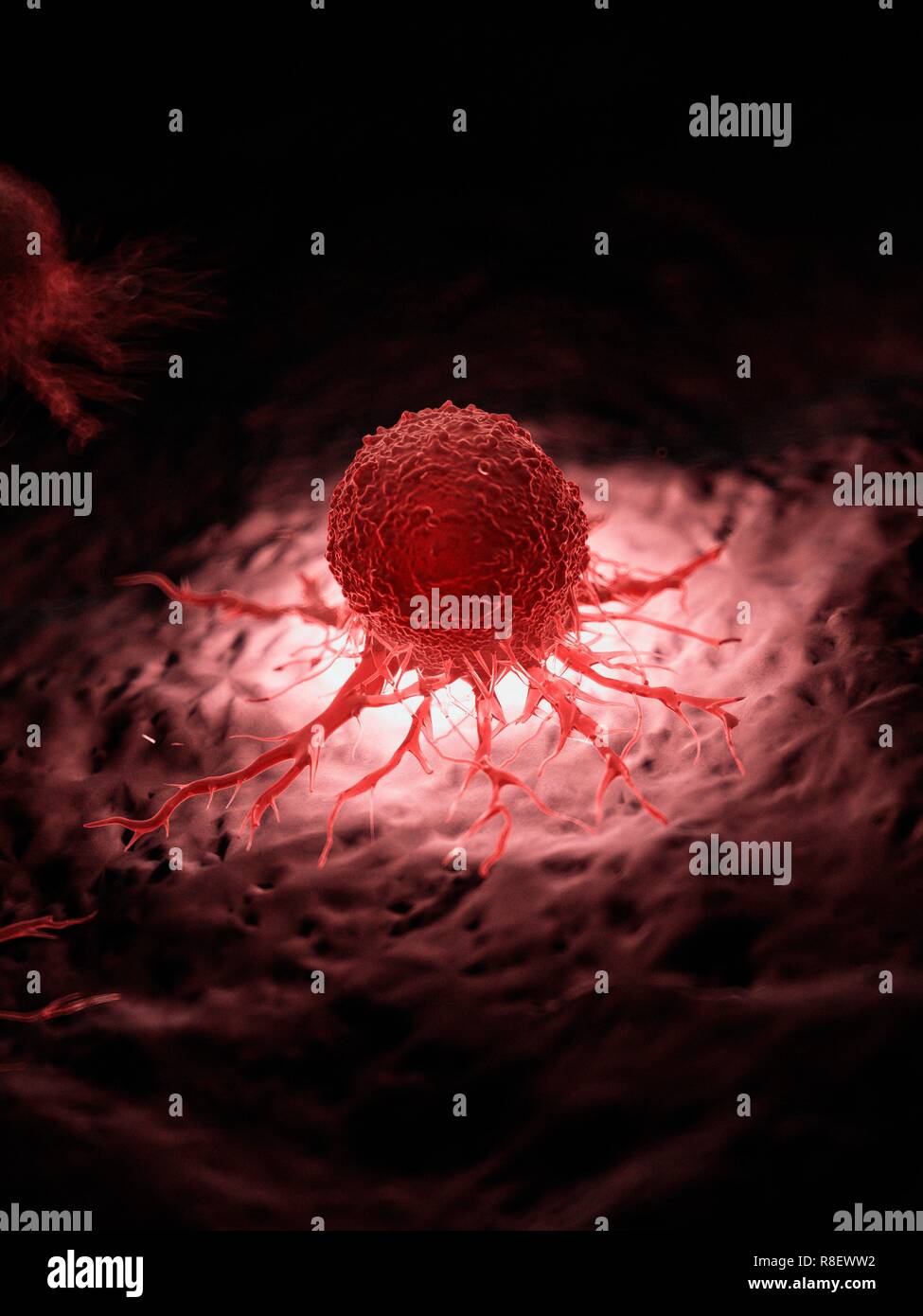 Illustration of a cancer cell Stock Photo - Alamy
