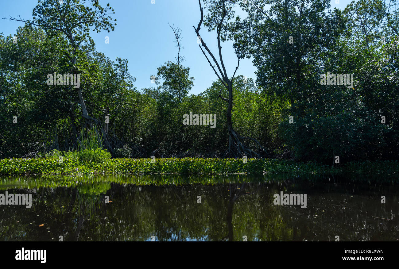 river in Guatemala Stock Photo - Alamy