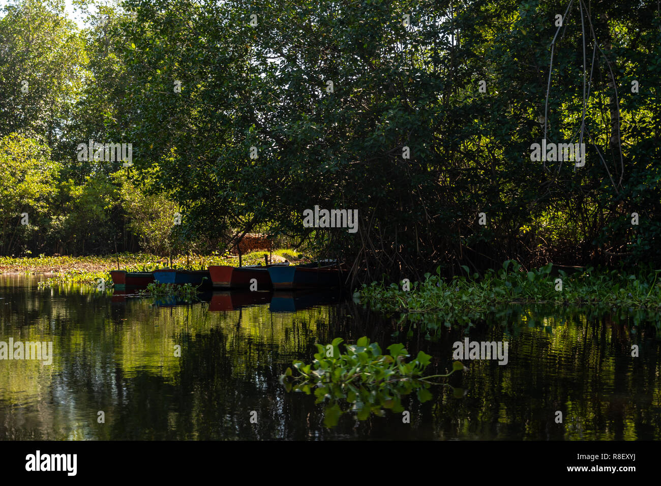 river in Guatemala Stock Photo - Alamy