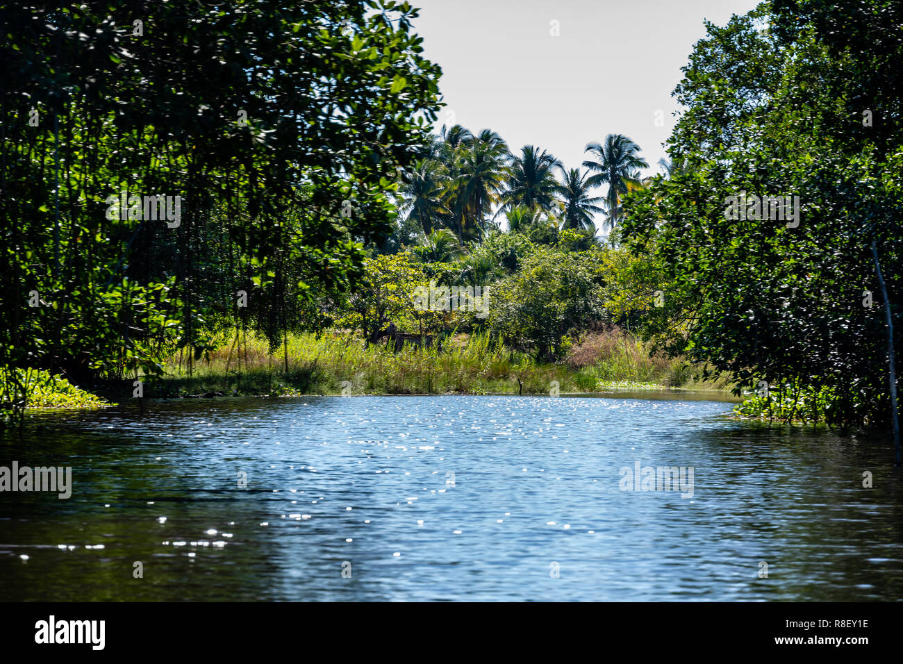 river in Guatemala Stock Photo - Alamy