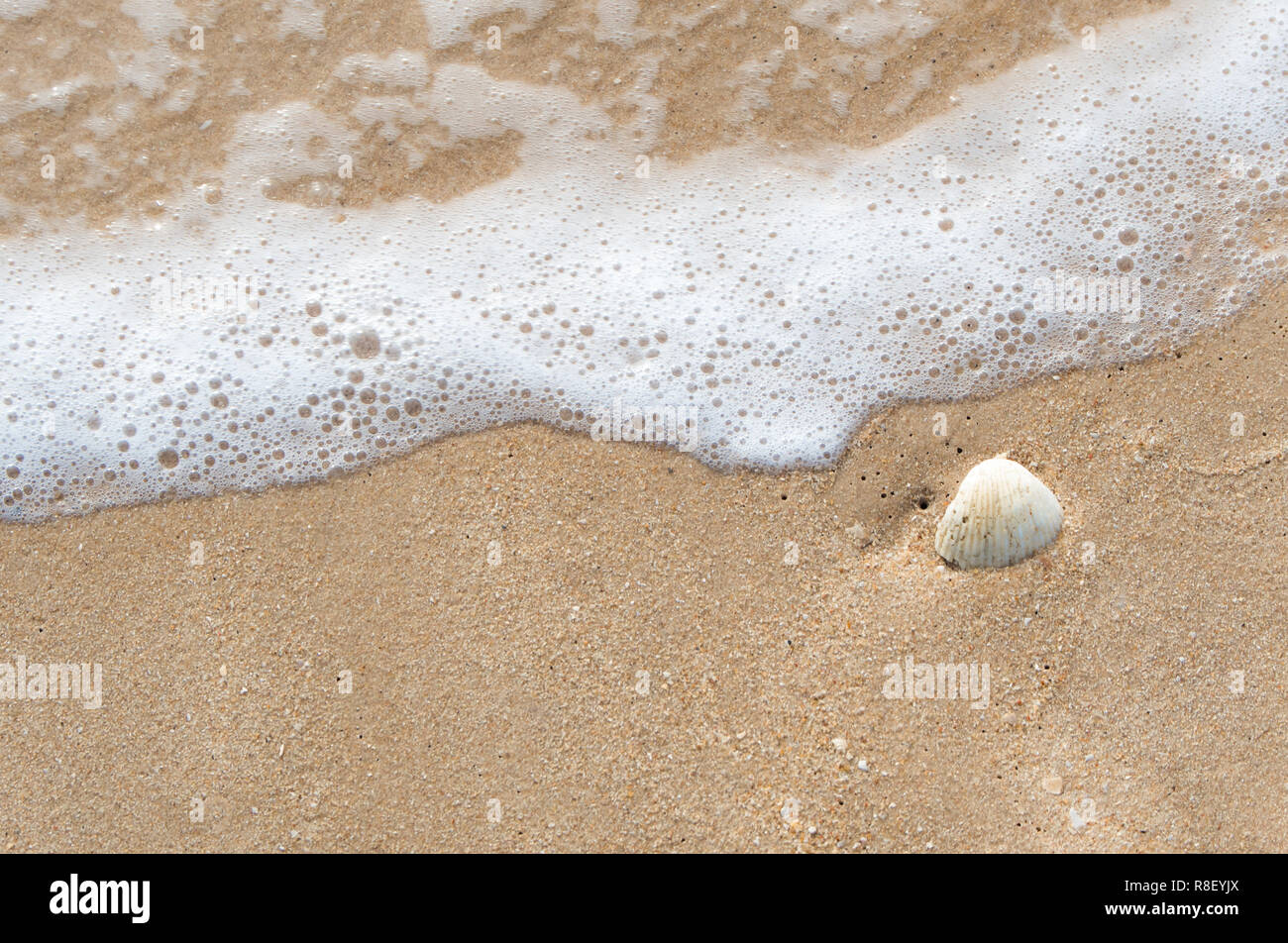 Fine sand and the bubble of Sea wave on the beach Stock Photo - Alamy