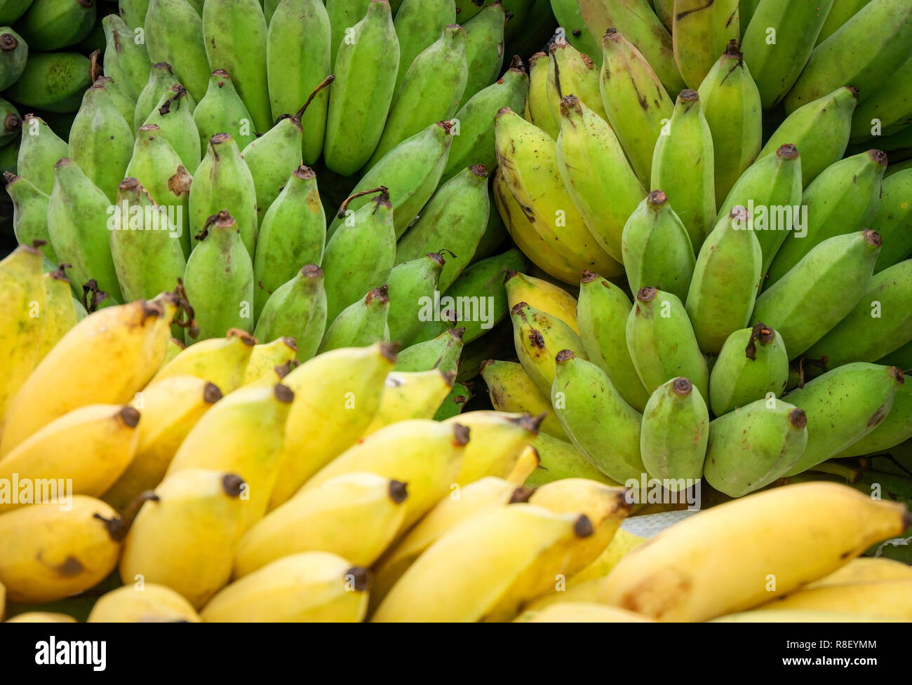 fresh banana texture background / ripe and raw cultivated banana ...
