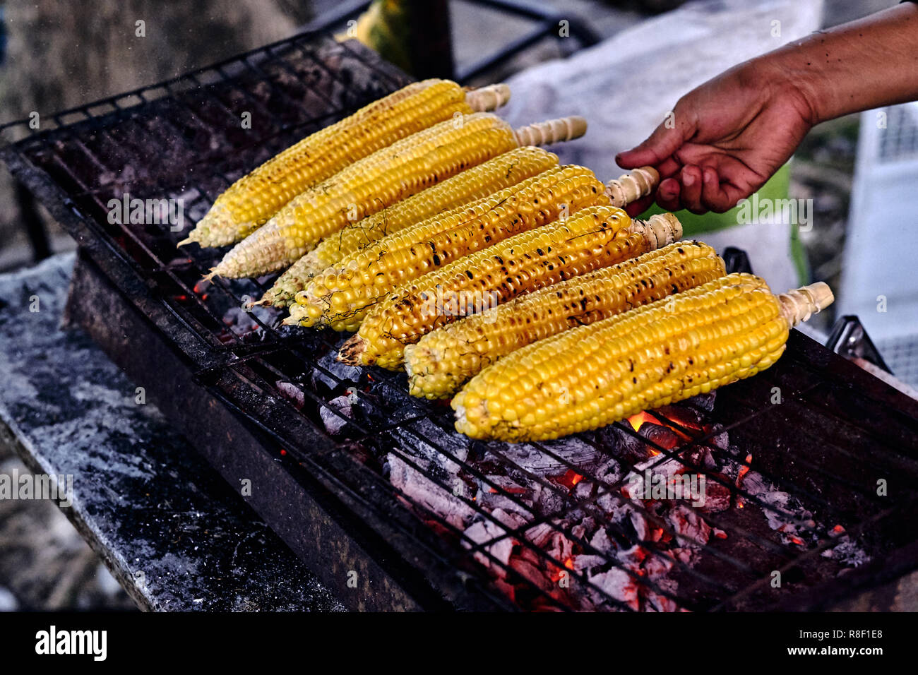 Corn cobs on the grill. Close up image with corns and hands. Asian ...