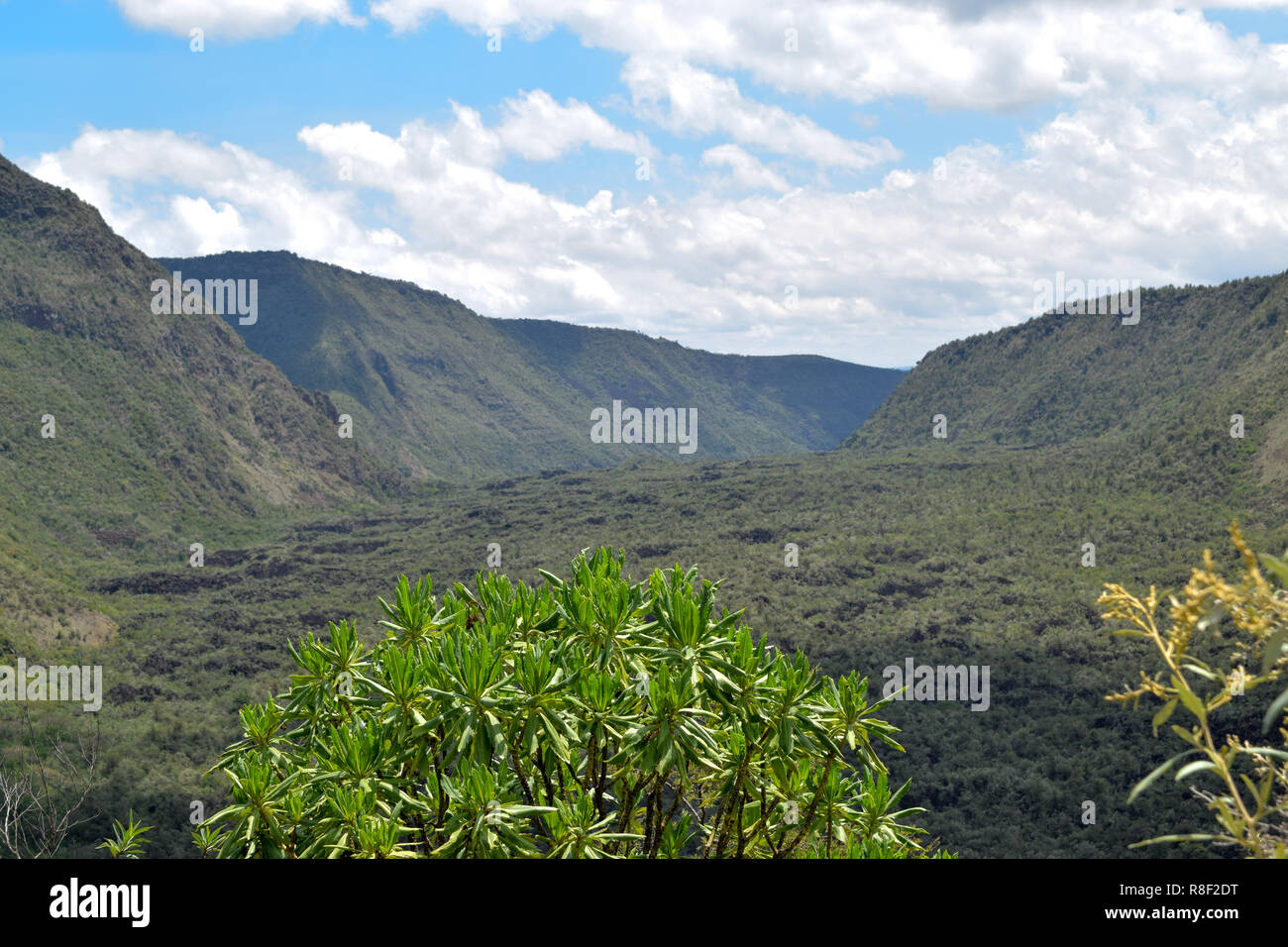 Hiking along the volcanic crater on Mount Suswa, Kenya Stock Photo - Alamy