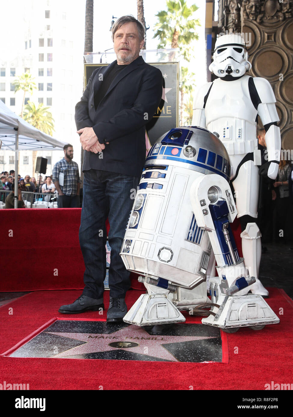 HOLLYWOOD, CA - MARCH 08: Mark Hamill at the Mark Hamill Honored With ...