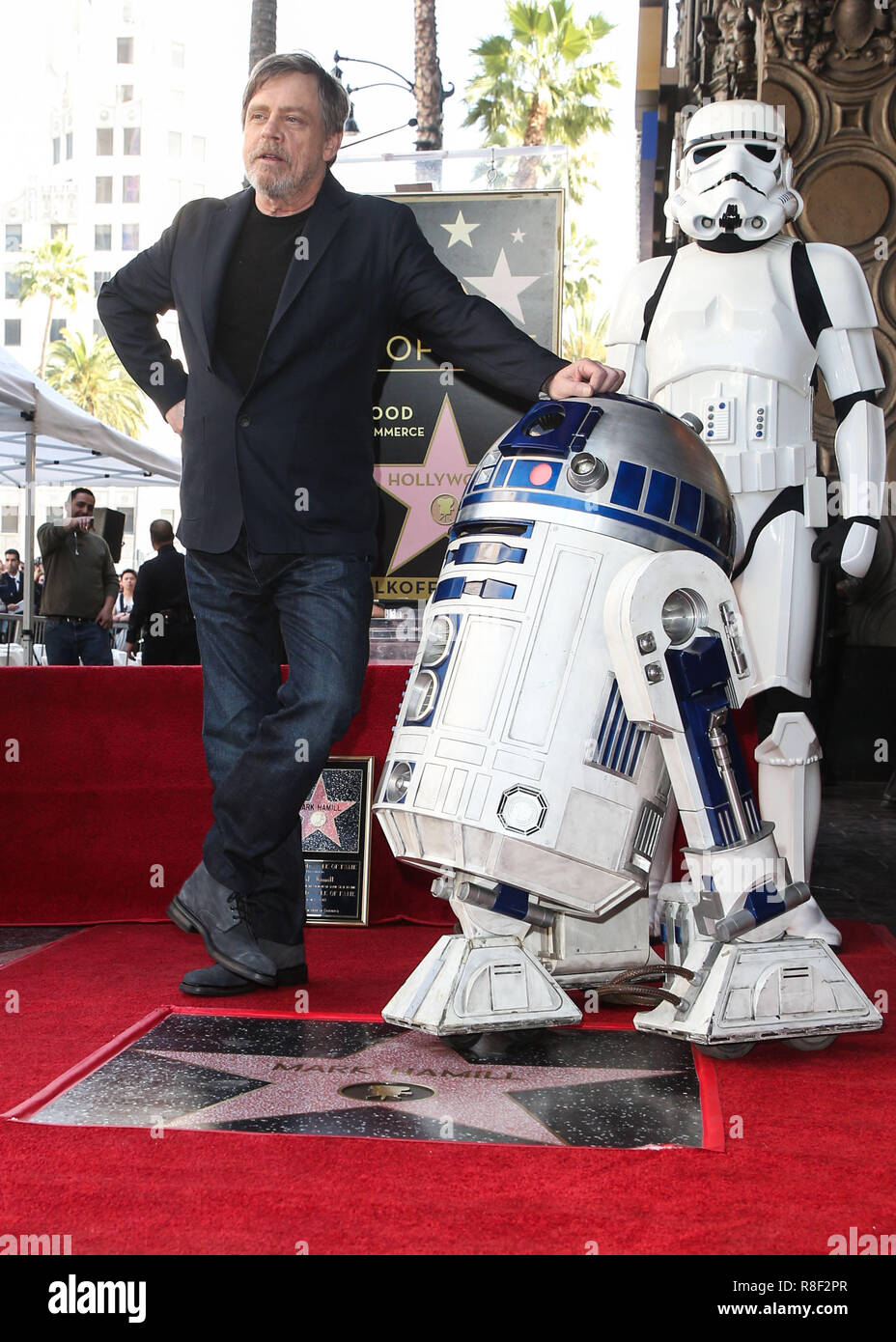 HOLLYWOOD, CA - MARCH 08: Mark Hamill at the Mark Hamill Honored With ...