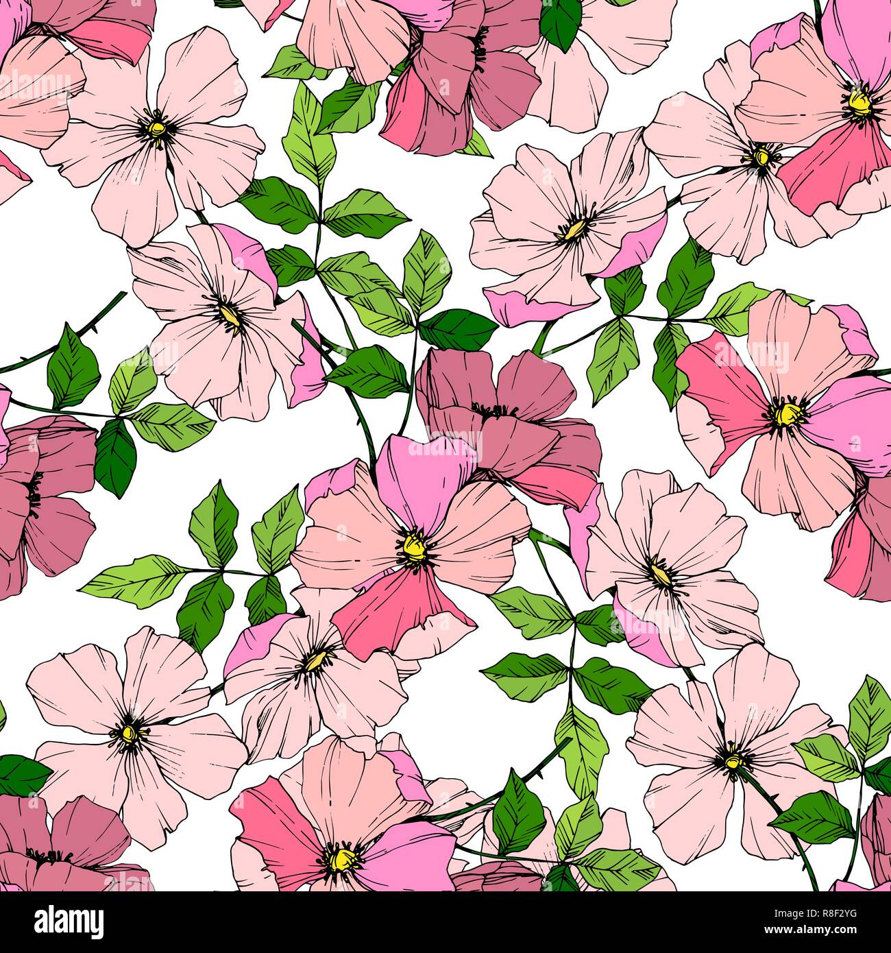 Vector Pink rosa canina flower. Engraved ink art. Seamless background ...