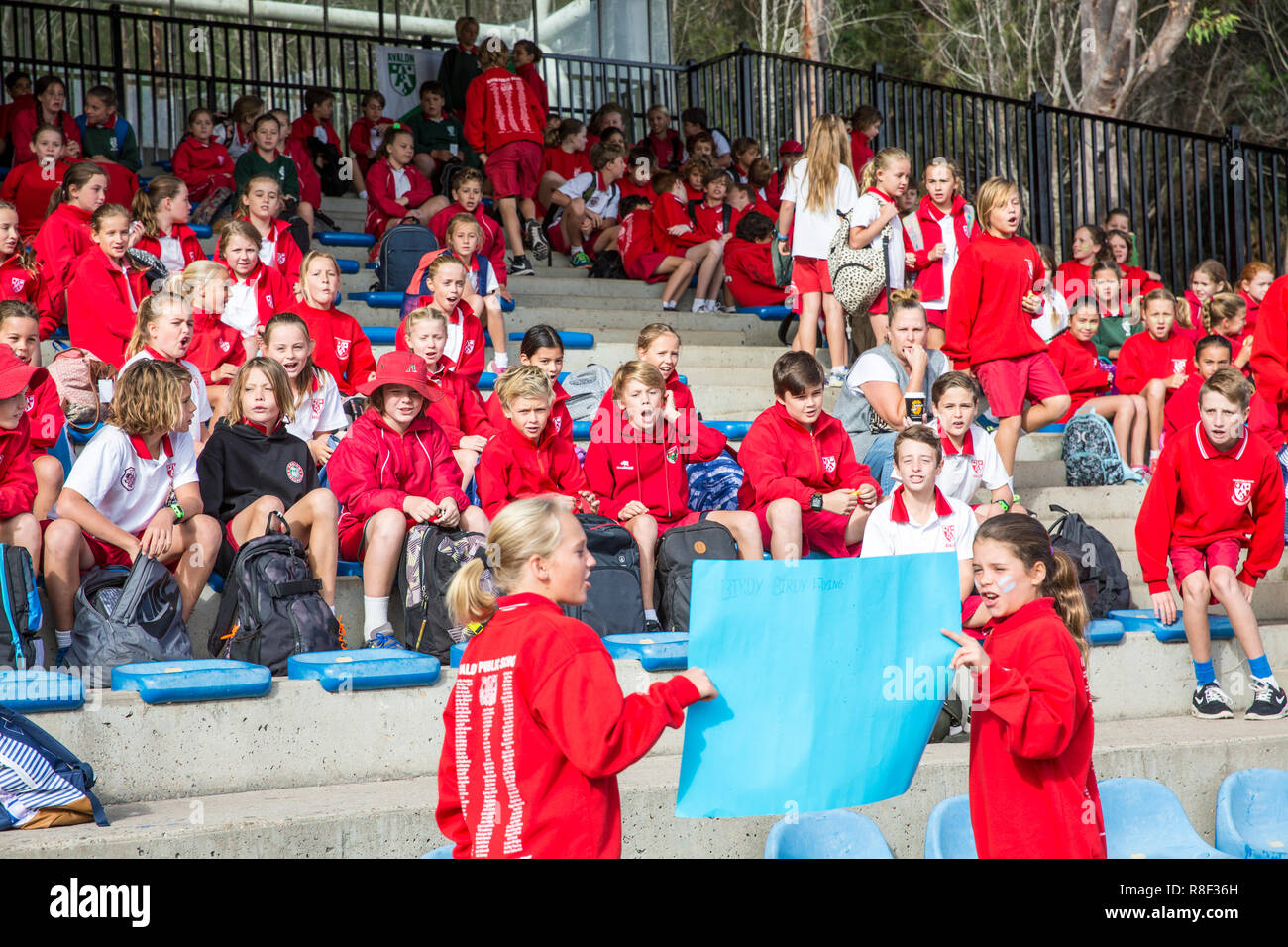 Primary school sports day and athletics events in Sydney,Australia ...