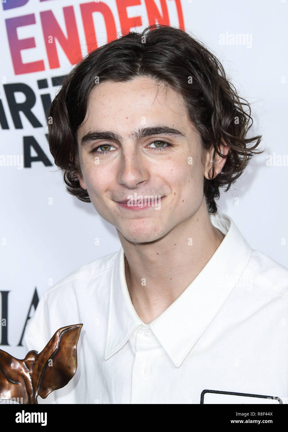 SANTA MONICA, LOS ANGELES, CA, USA - MARCH 03: Timothee Chalamet in the ...