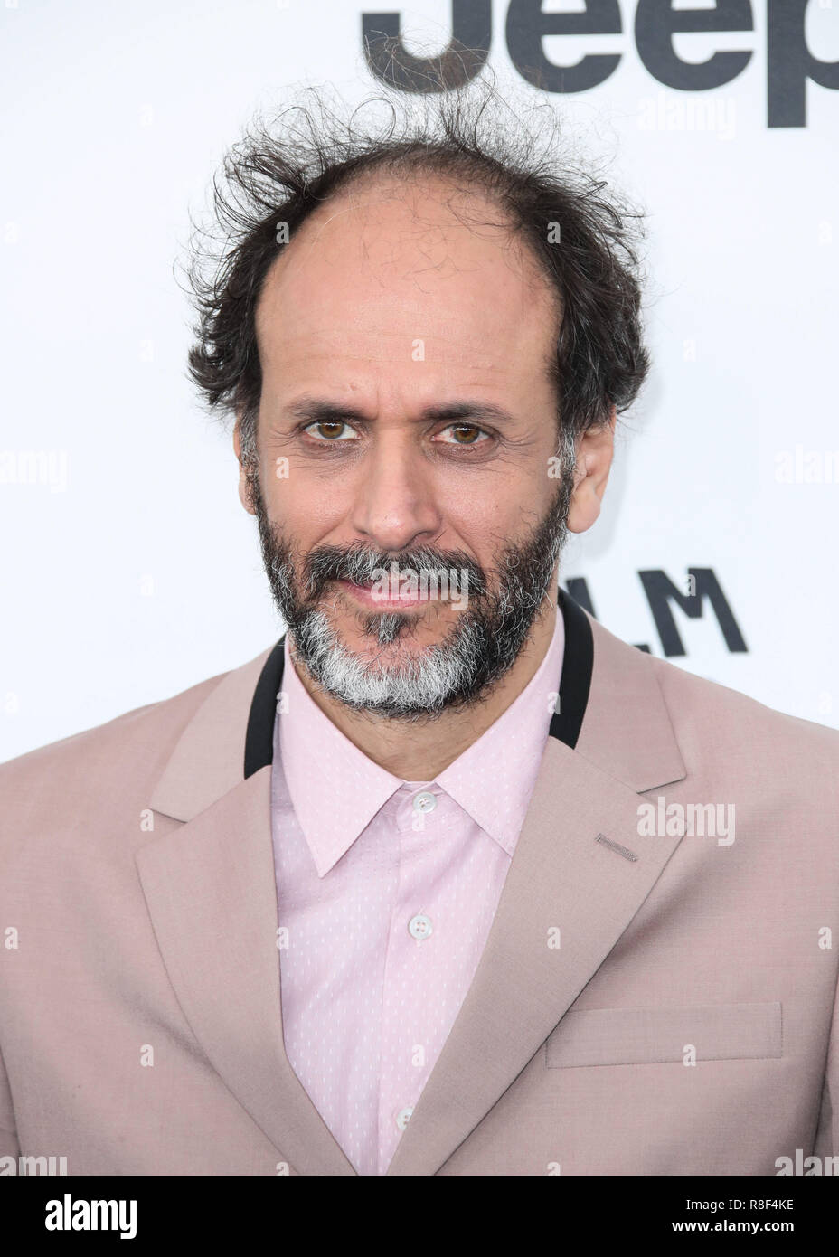 SANTA MONICA, LOS ANGELES, CA, USA - MARCH 03: Luca Guadagnino at the ...