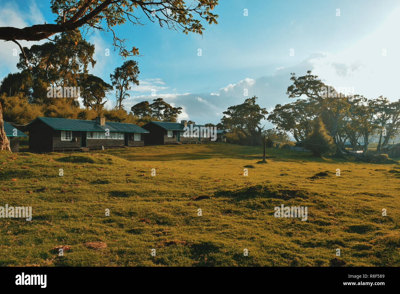 Cabin in the mountains, Mount Kenya Bandas, Mount Kenya National Park ...