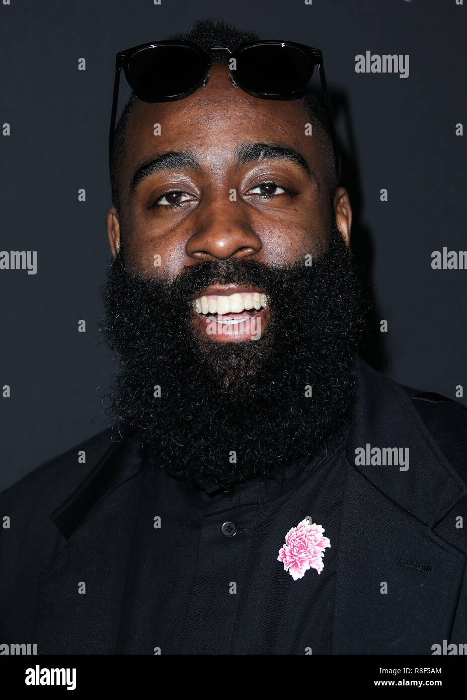 LOS ANGELES, CA, USA - FEBRUARY 17: James Harden at the 2018 GQ All ...