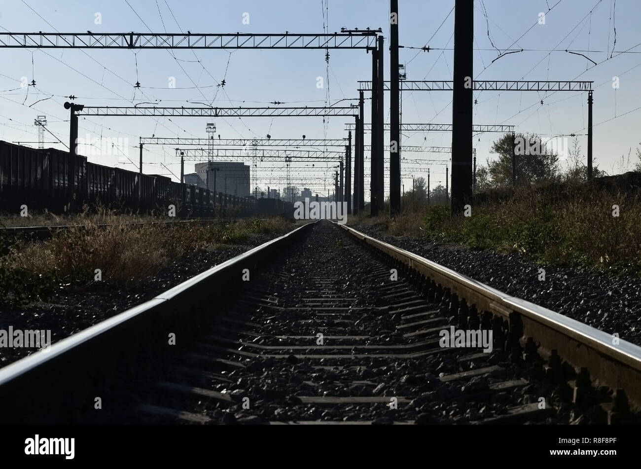 Railway landscape. Many railroad cars and tanks standing in rails Stock ...