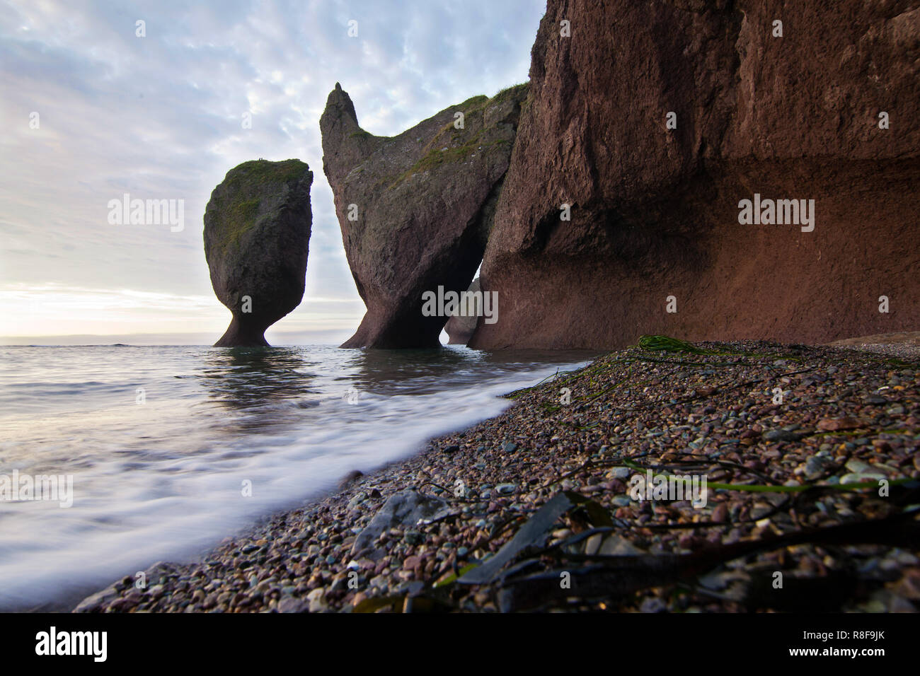 Primorye hi-res stock photography and images - Alamy