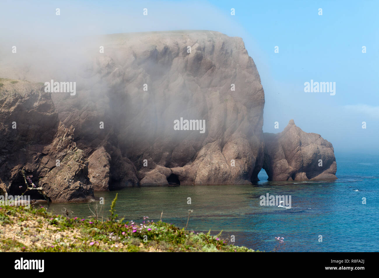 Primorye region hi-res stock photography and images - Alamy