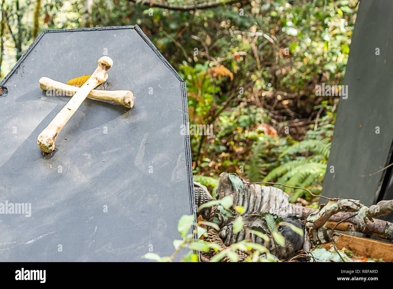 Prop coffin hi-res stock photography and images - Alamy