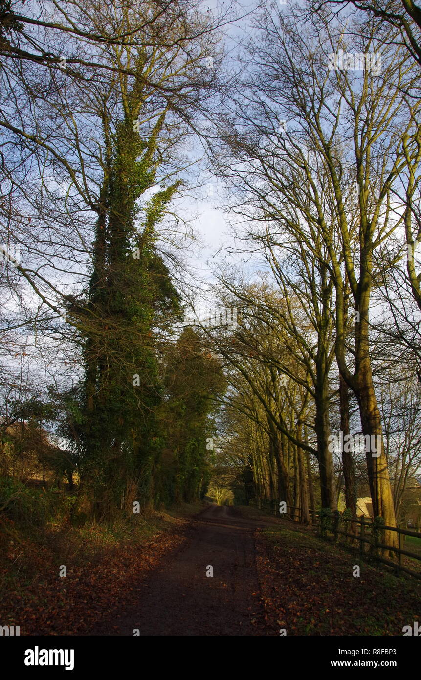 The Macmillan Way. Long-distance trail. Gloucestershire. Cotswolds ...