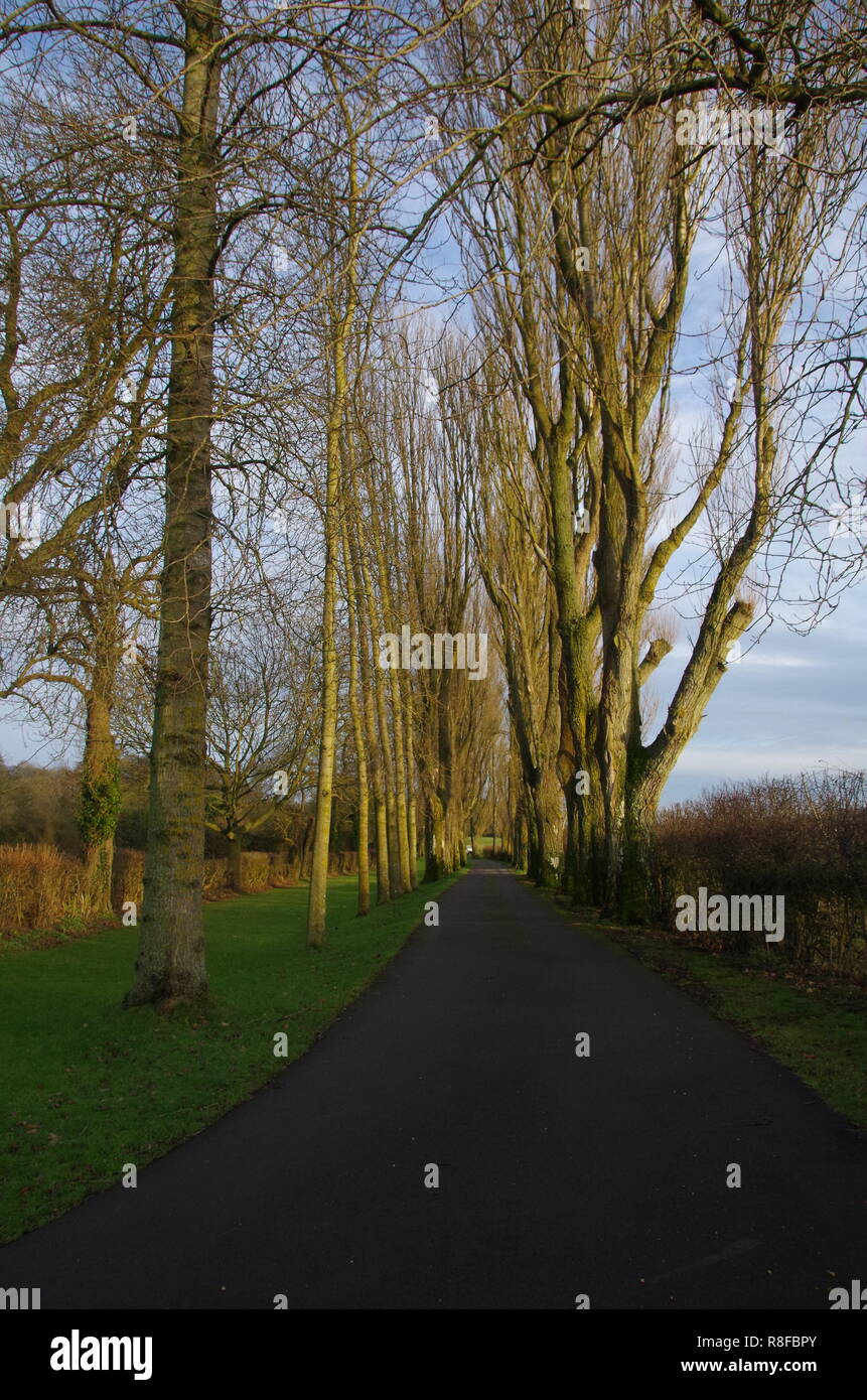 The Macmillan Way. Long-distance trail. Gloucestershire. Cotswolds ...