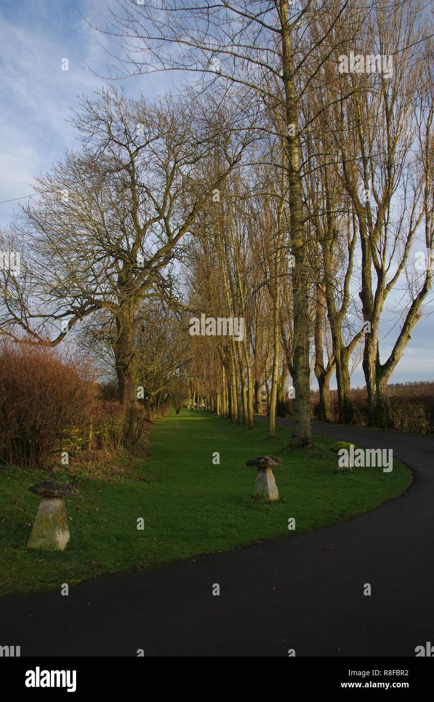 The Macmillan Way. Long-distance trail. Gloucestershire. Cotswolds ...