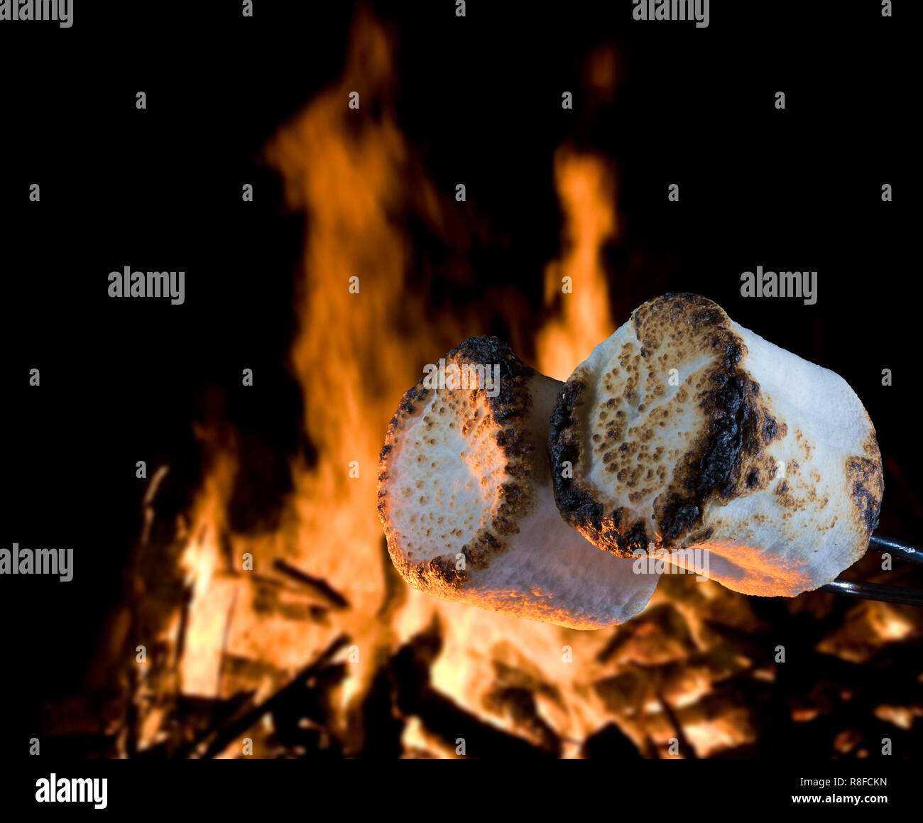 Two marshmallows being roasted over a campfire to make smores Stock ...