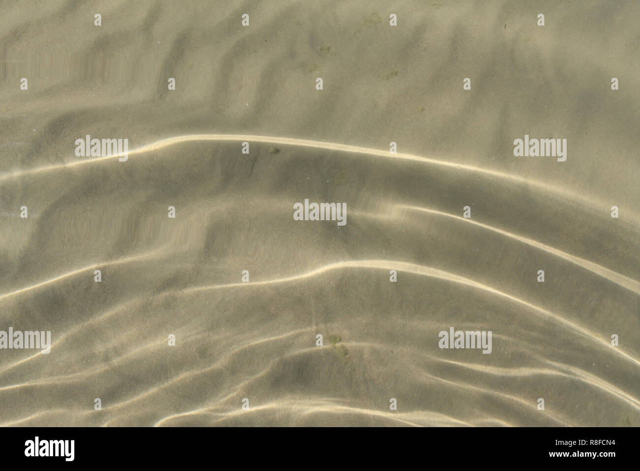the sand on the beach under water,sunlight on the sand. summer travel ...
