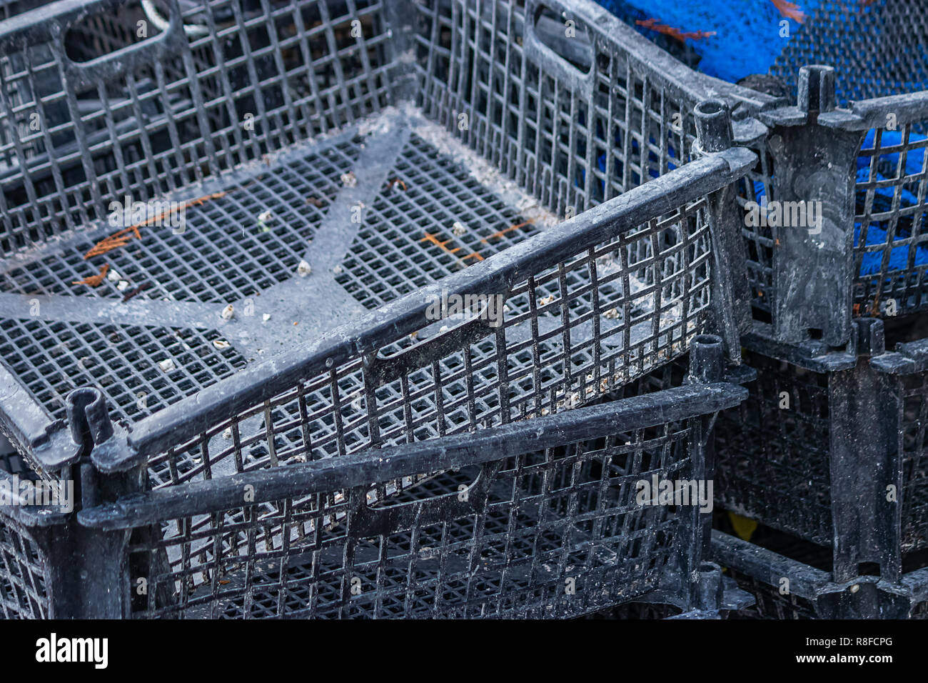 close up of net bin used in oyster farming Stock Photo - Alamy