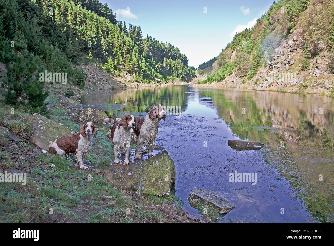The Canyon, Blaen-y-cwm Road, Hafodyrynys, Gwent, South Wales Stock ...