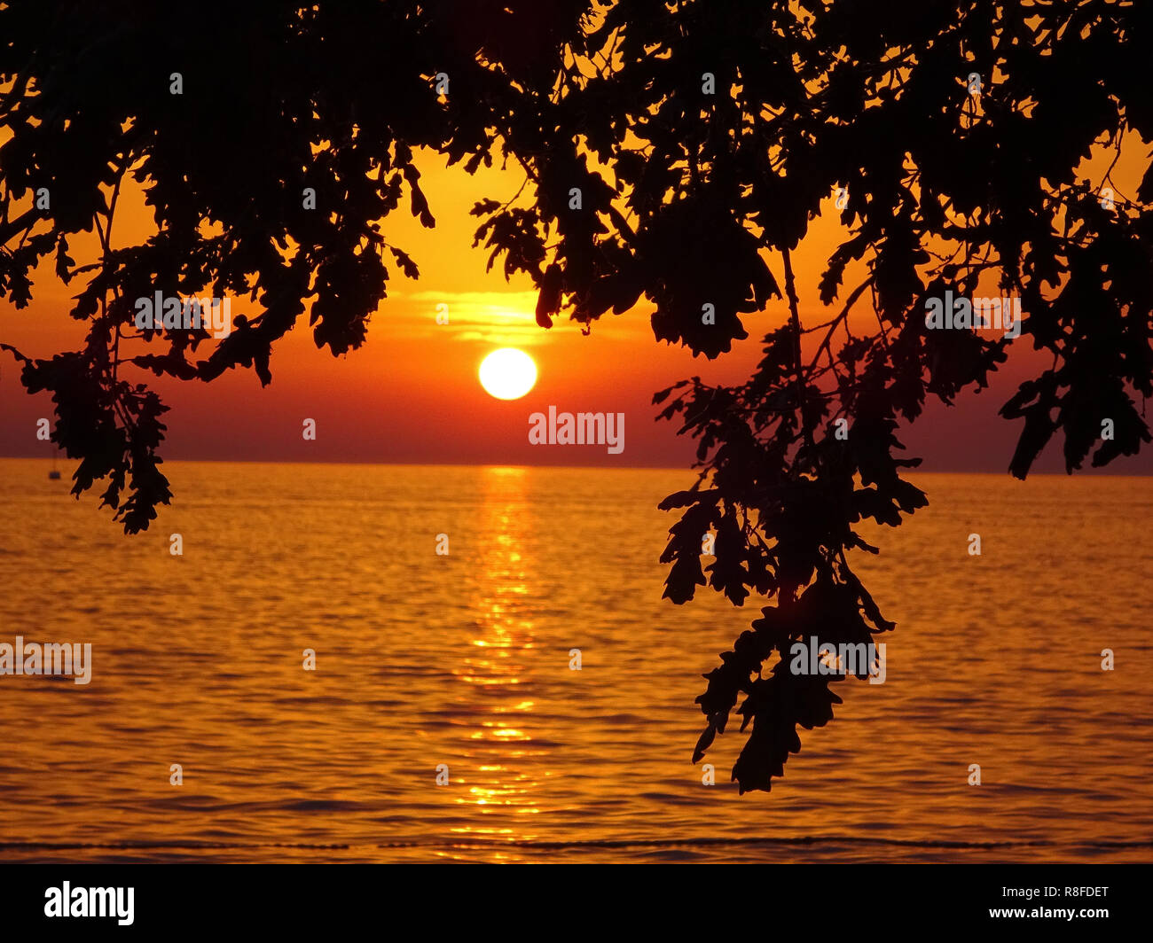 beautiful ocean sunset with silhoutte Stock Photo - Alamy