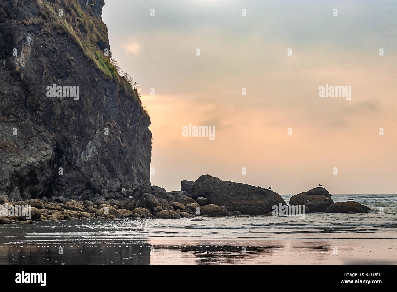ruby beach sea stacks and rock formations Stock Photo - Alamy