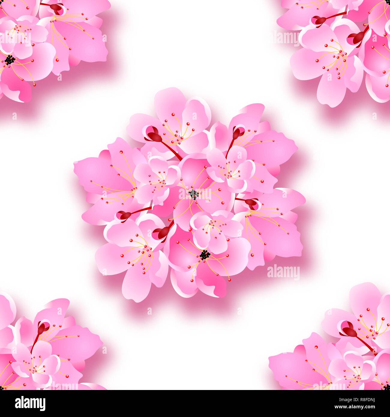 Decorative sakura flowers, bouquet, design elements with shadow ...