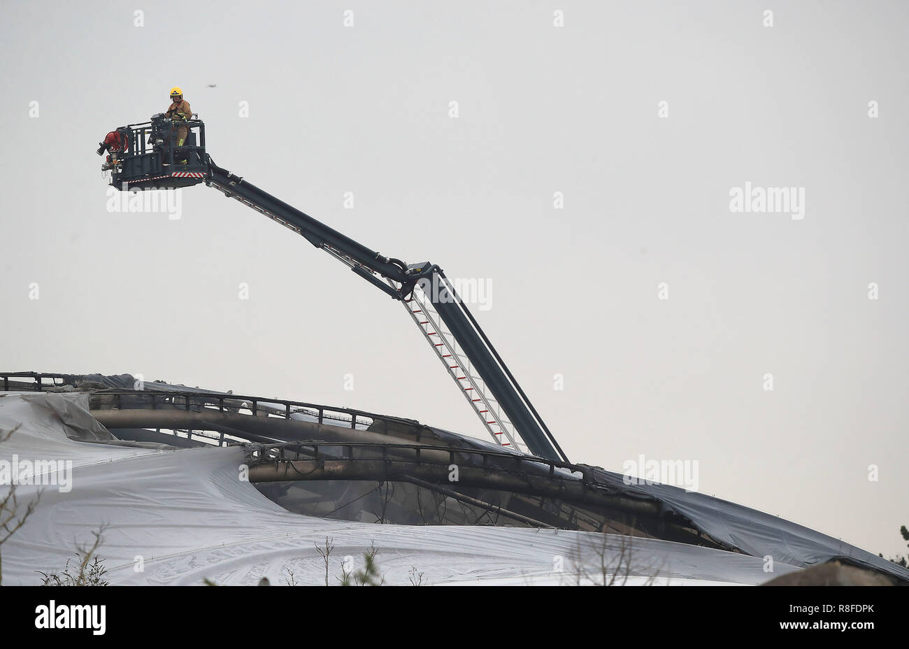 Firefighters at Chester Zoo after a fire broke out in the Monsoon ...