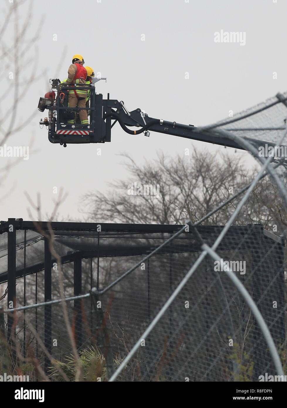 Monsoon forest chester zoo hi-res stock photography and images - Alamy