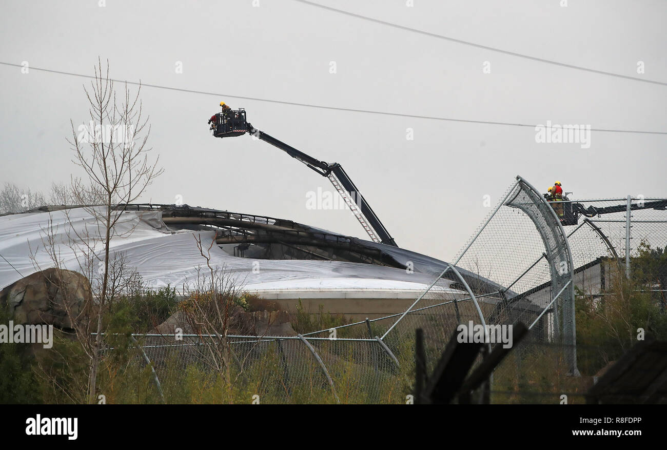 Monsoon forest chester zoo hi-res stock photography and images - Alamy