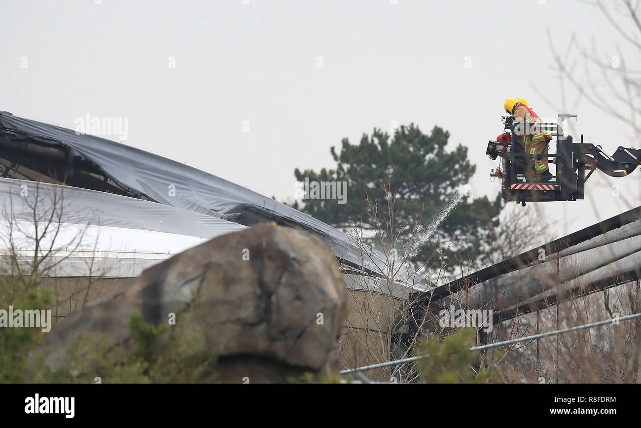 Firefighters at Chester Zoo after a fire broke out in the Monsoon ...