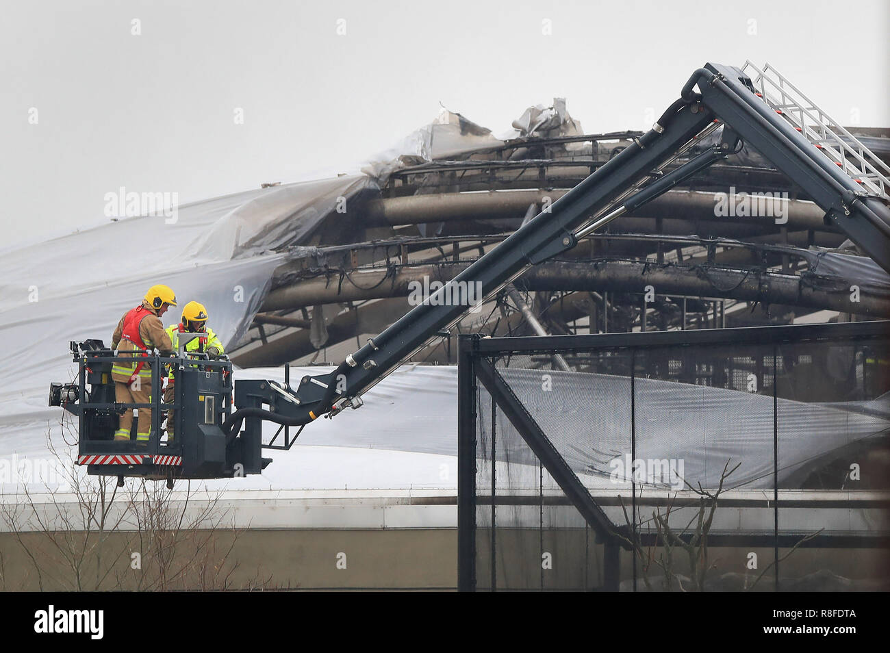 Firefighters at Chester Zoo after a fire broke out in the Monsoon ...