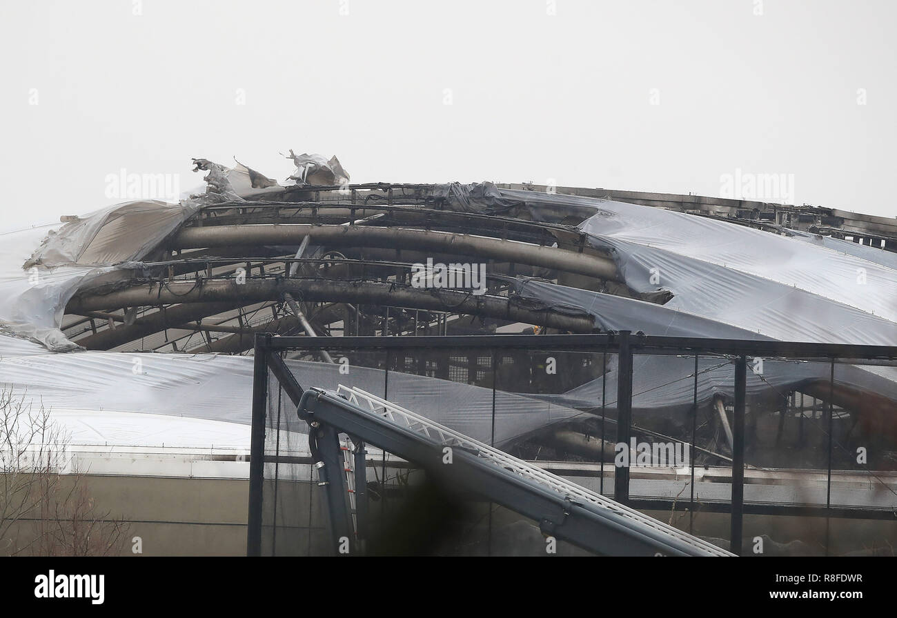 Chester zoo monsoon hi-res stock photography and images - Alamy