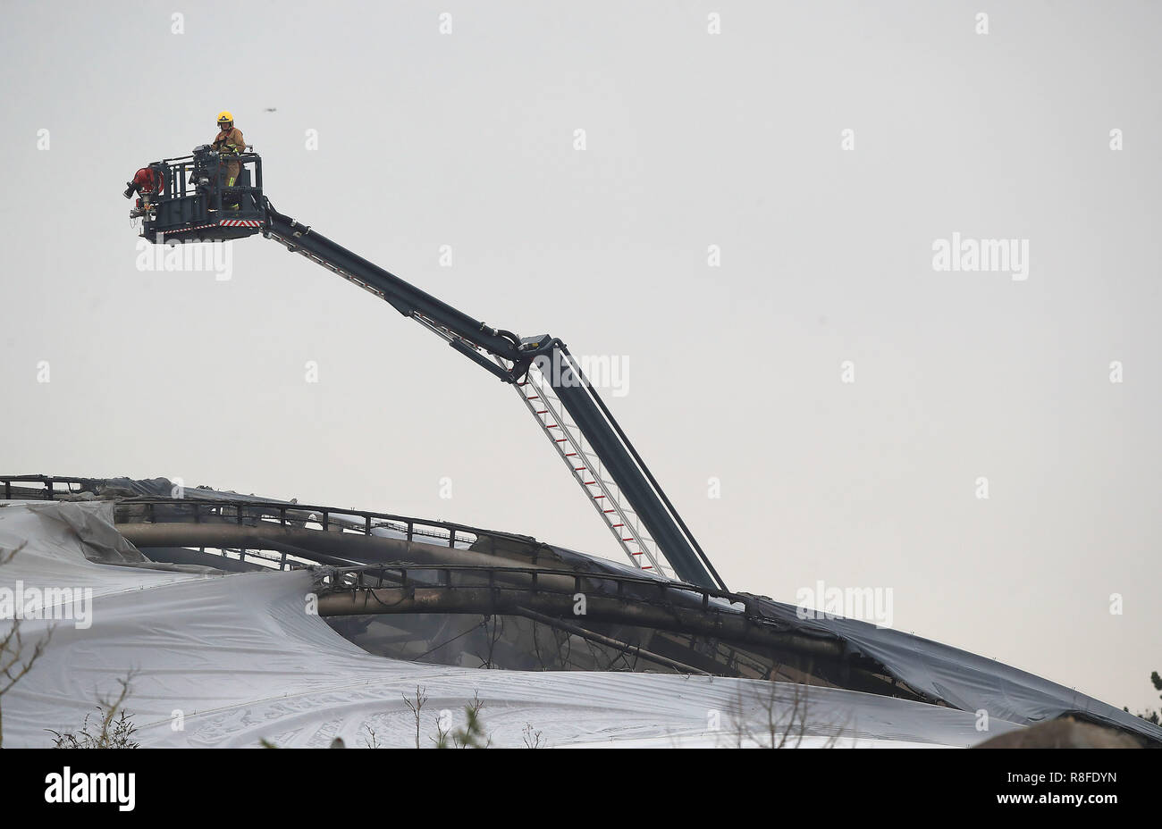 Monsoon forest chester zoo hi-res stock photography and images - Alamy