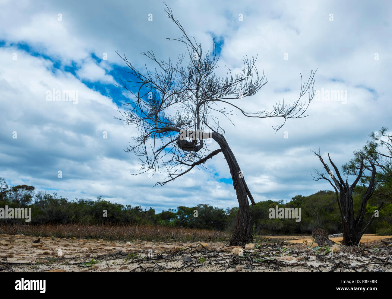 Lookout manly australia rocks hi-res stock photography and images - Alamy