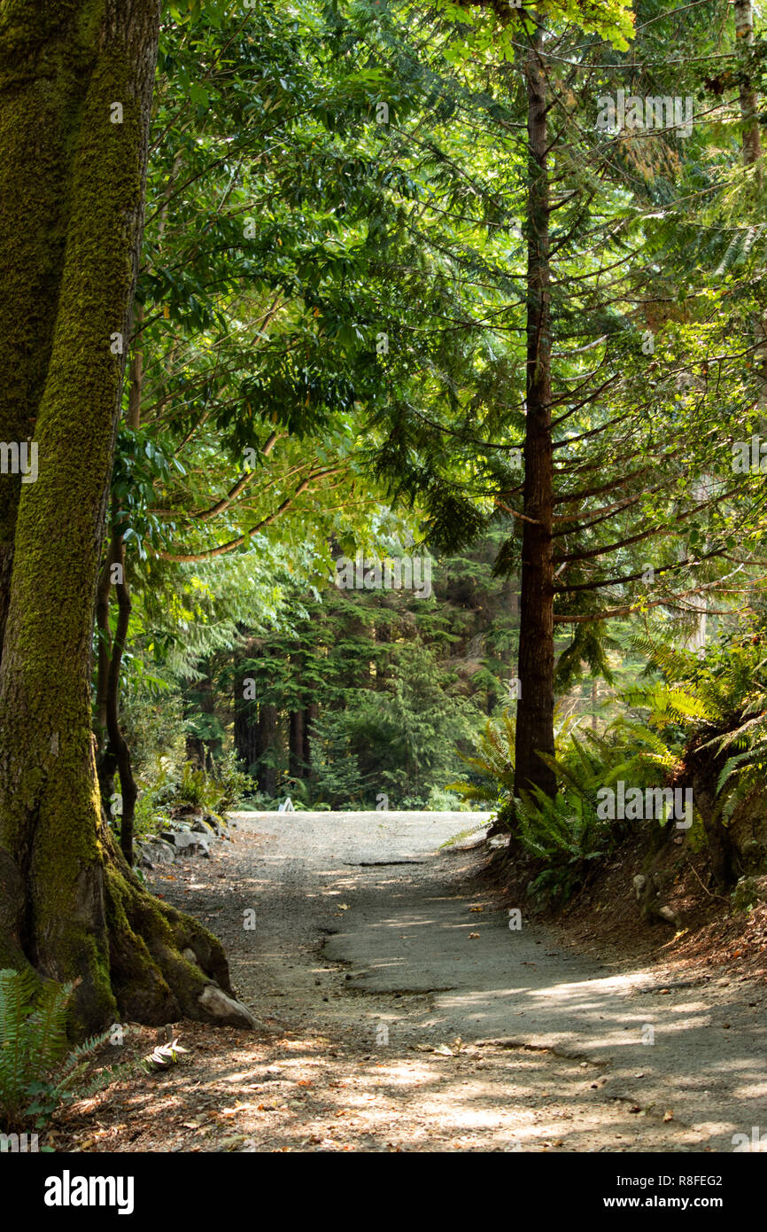 Beautiful shot foot trail hi-res stock photography and images - Alamy