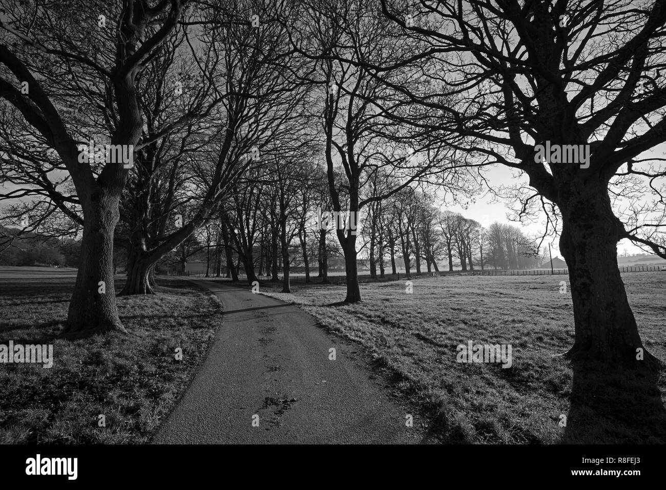 Hellifield peel hi-res stock photography and images - Alamy