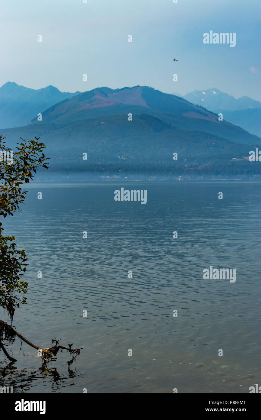 mountains and water of puget sound with dark dragonfly and leaves ...