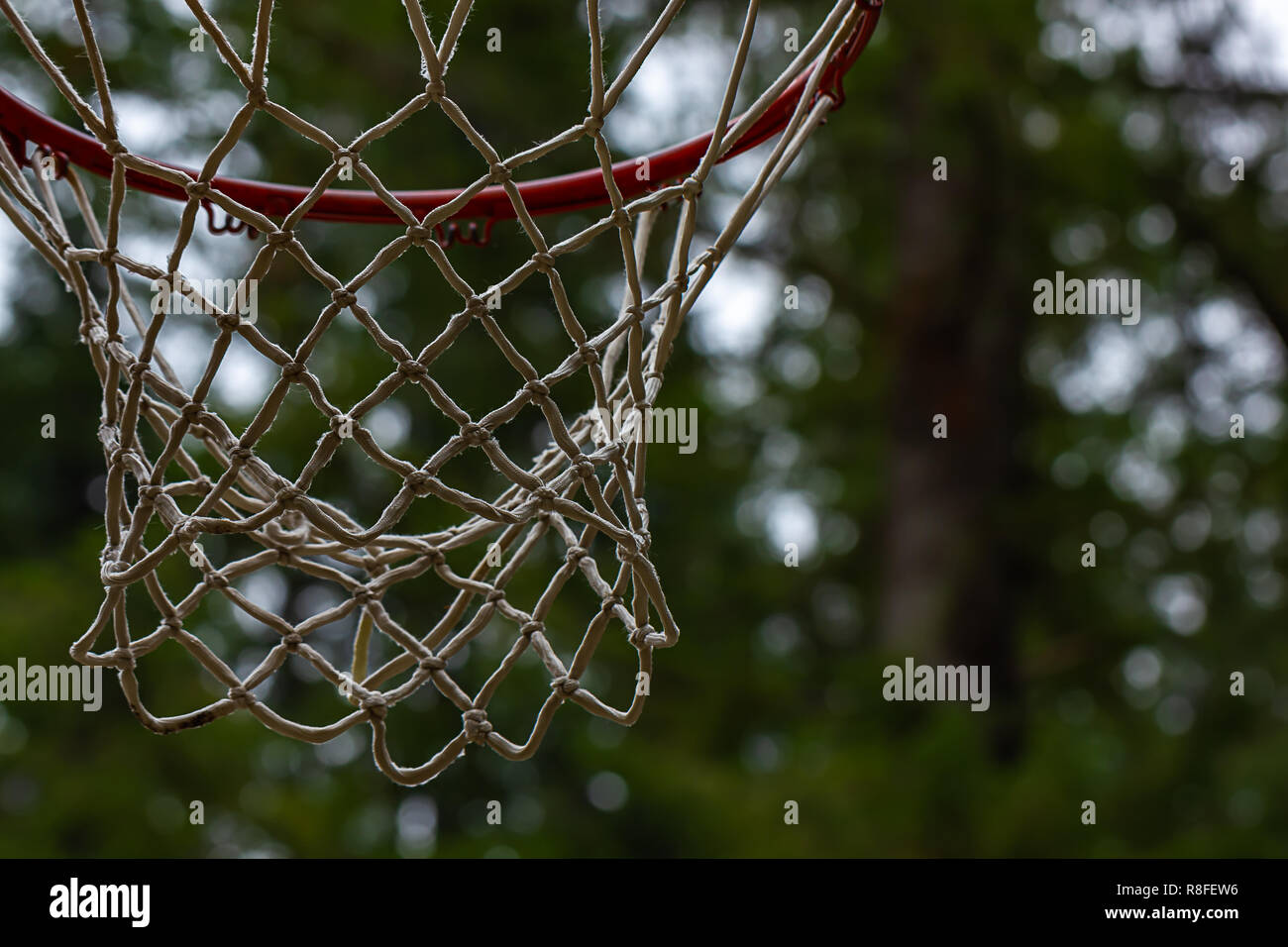 dark forest setting with red basketball hoop on overcast day Stock ...