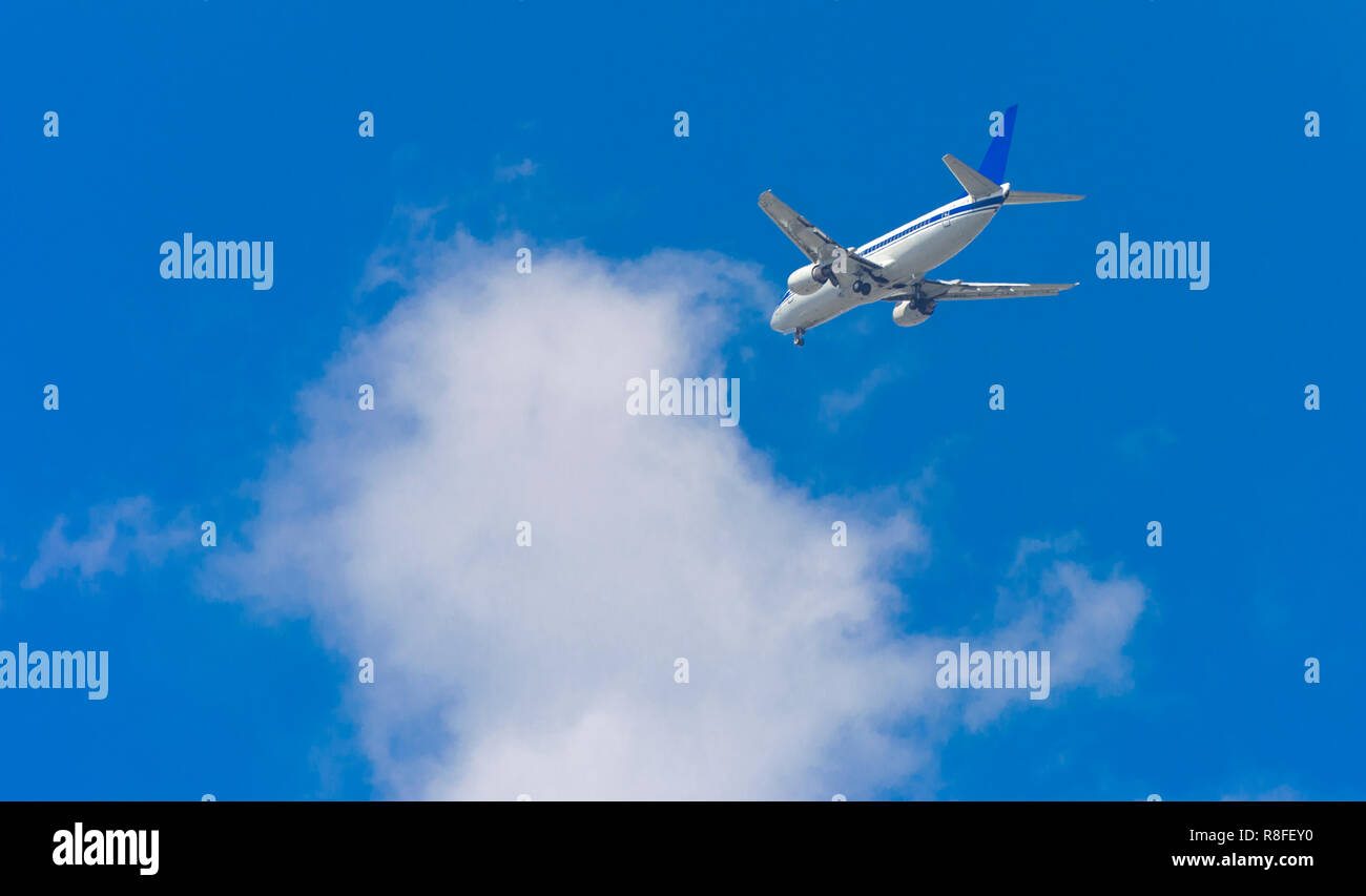 Big wingspan hi-res stock photography and images - Alamy