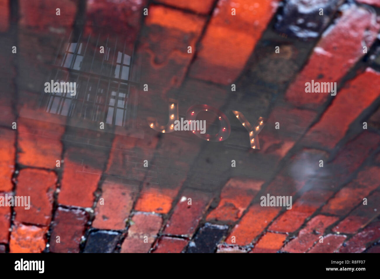"JOY" light up sign reflected in a puddle on a rainy day at the Toronto ...