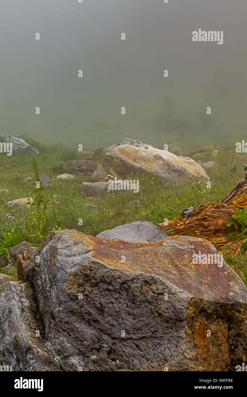rust red iron rich rocks in field Stock Photo - Alamy