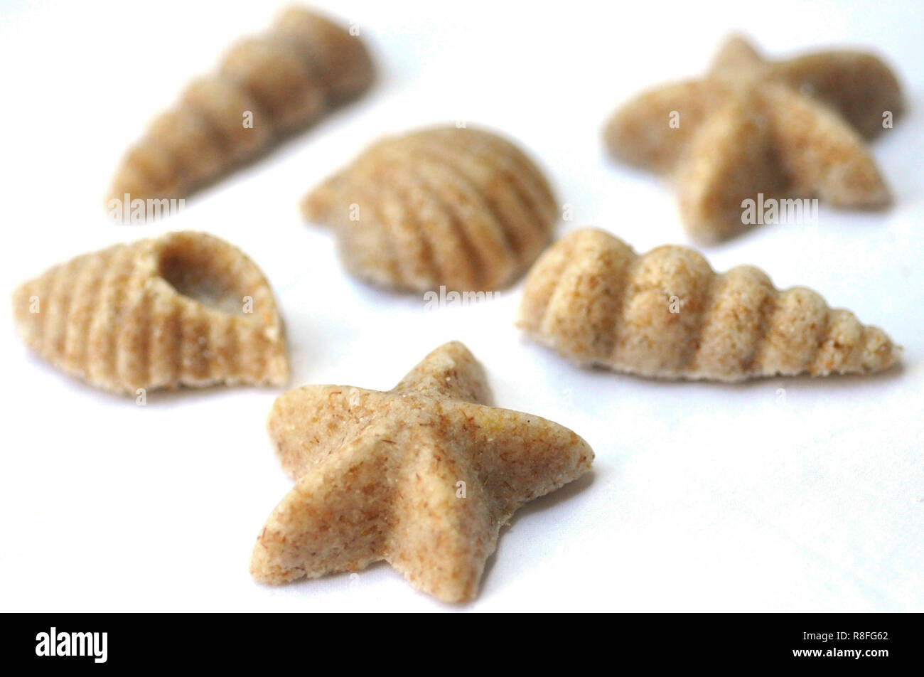 Shells organic shapes hi-res stock photography and images - Alamy