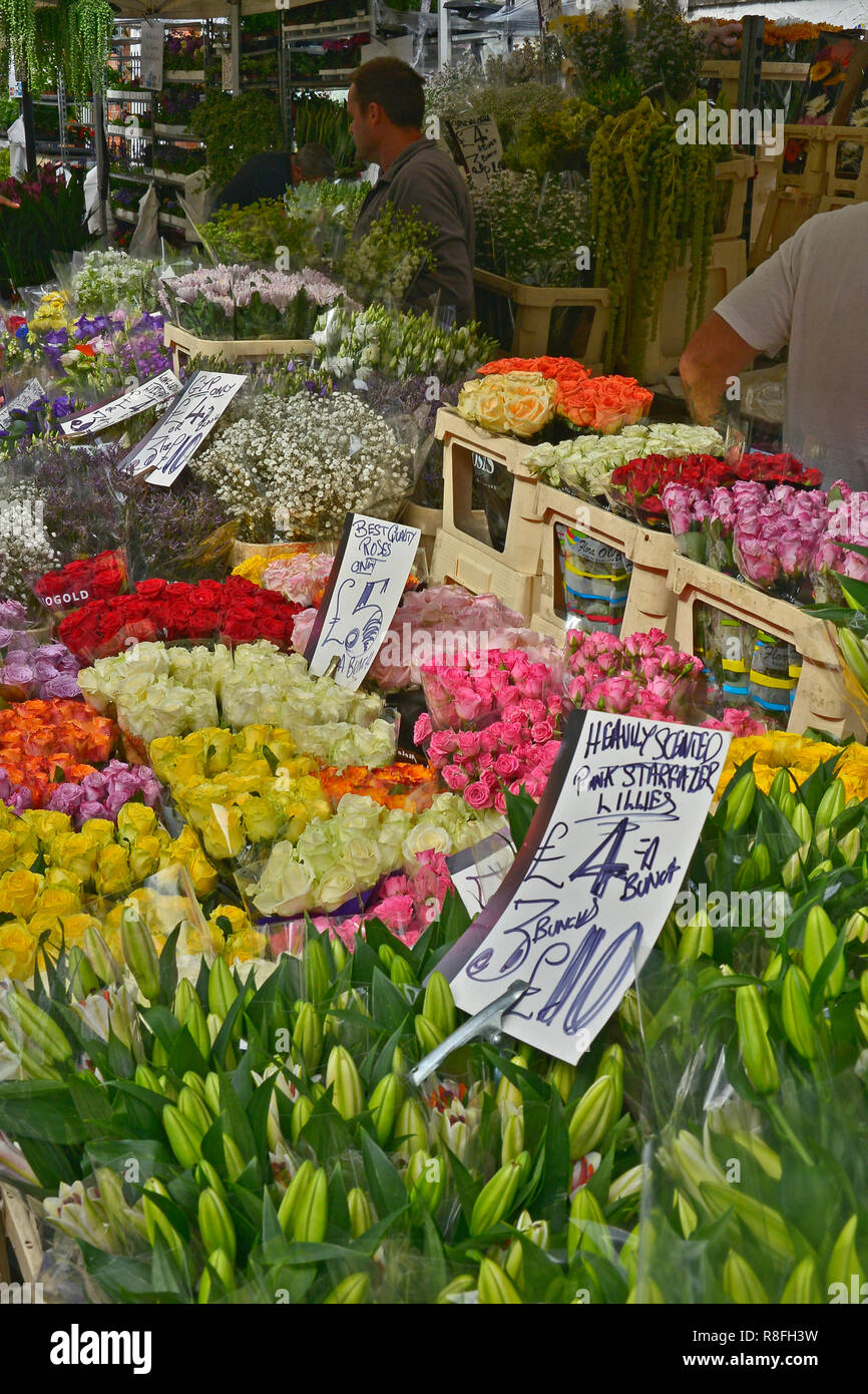 London flower hi-res stock photography and images - Alamy