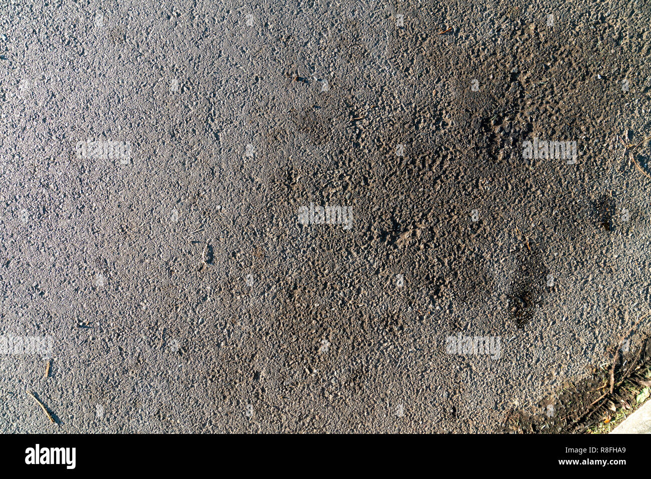 Texture of asphalt Stock Photo - Alamy