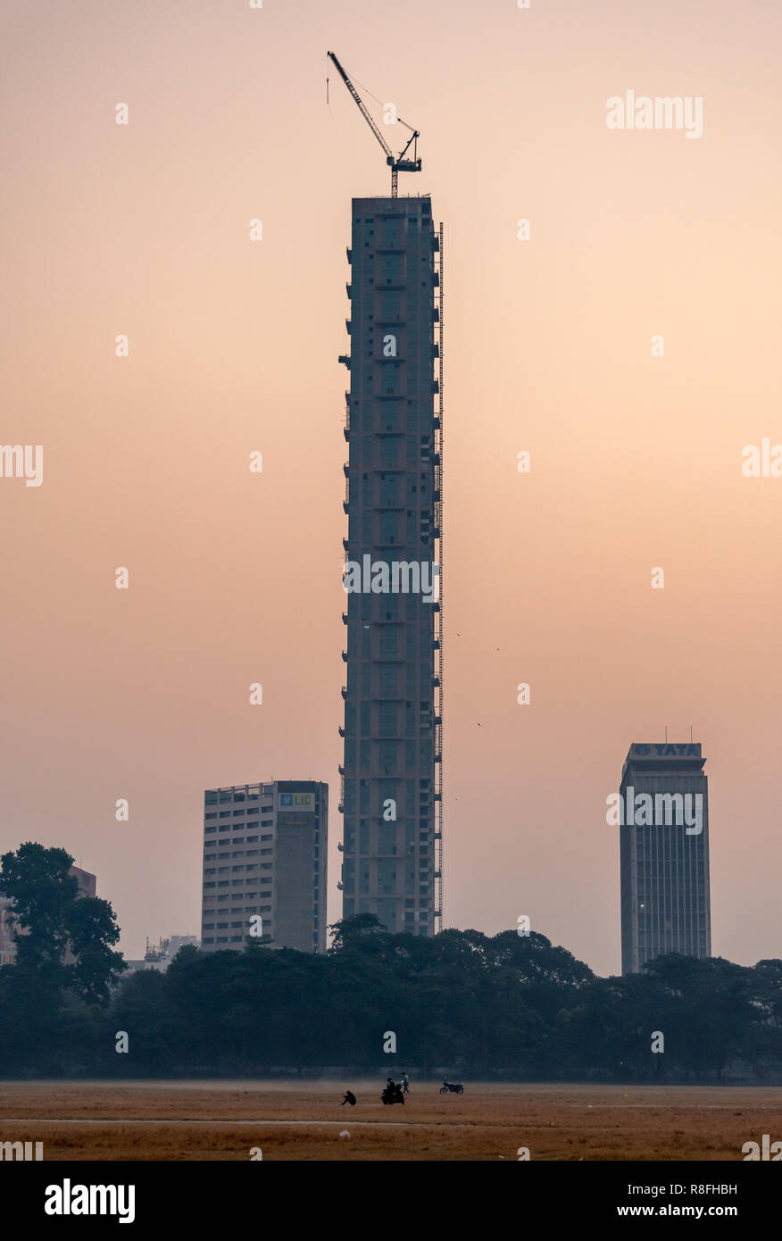 Indian shepherds with their domestic goats at the Maidan ground ...