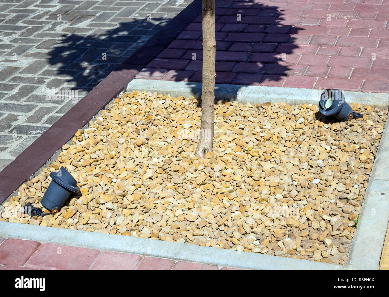 The system of illumination of trees planted on the pavement Stock Photo ...